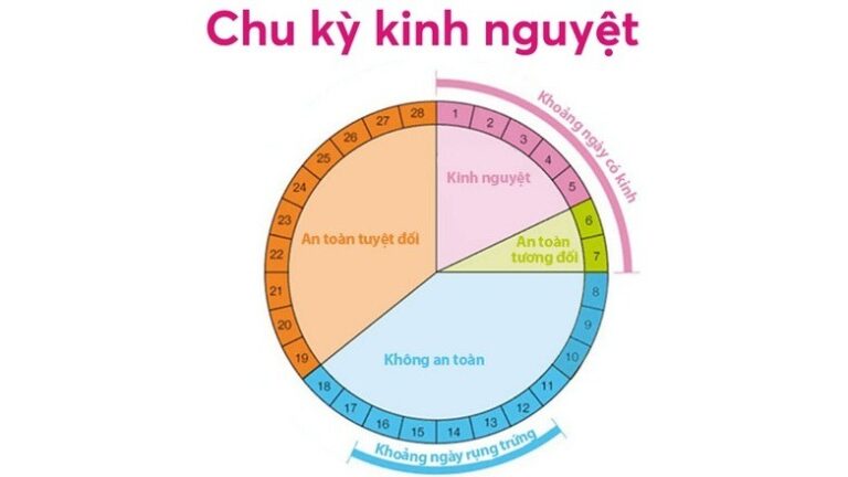 cách tránh thai theo chu kỳ kinh nguyệt